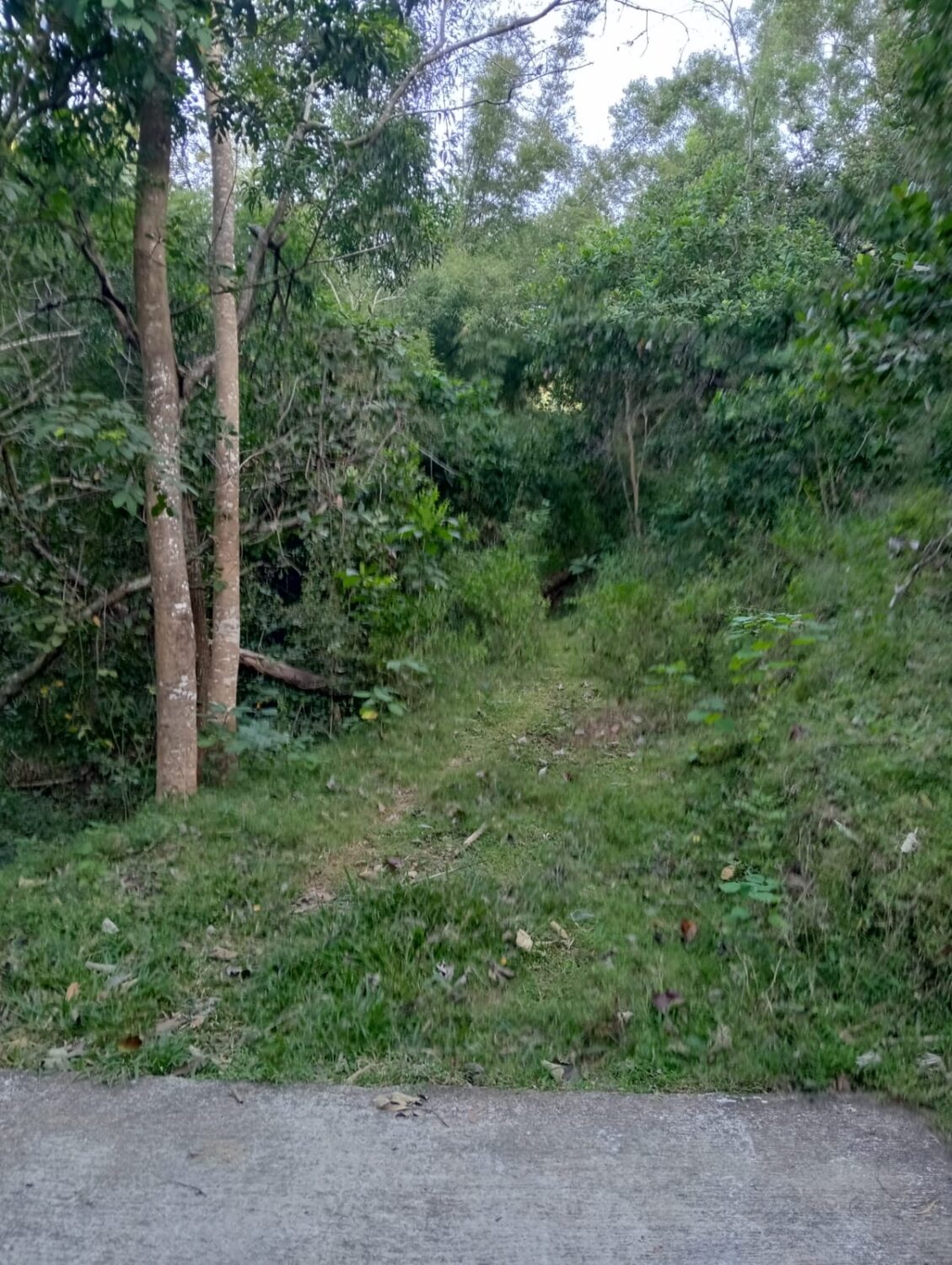Exclusive Riverside Sanctuary – Prime Location at Kuta Green Walk Entrance